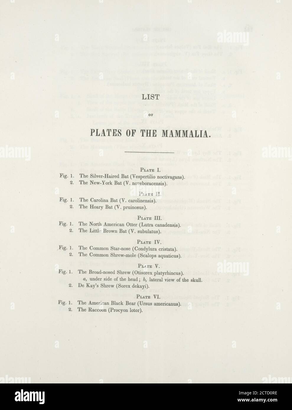 1842 1844 hi-res stock photography and images - Alamy