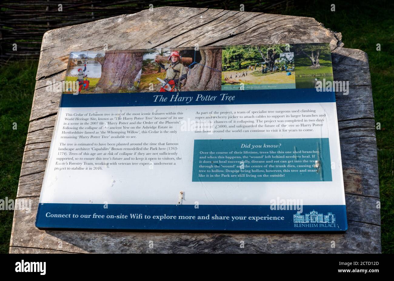 Harry potter tree information board hi-res stock photography and images ...
