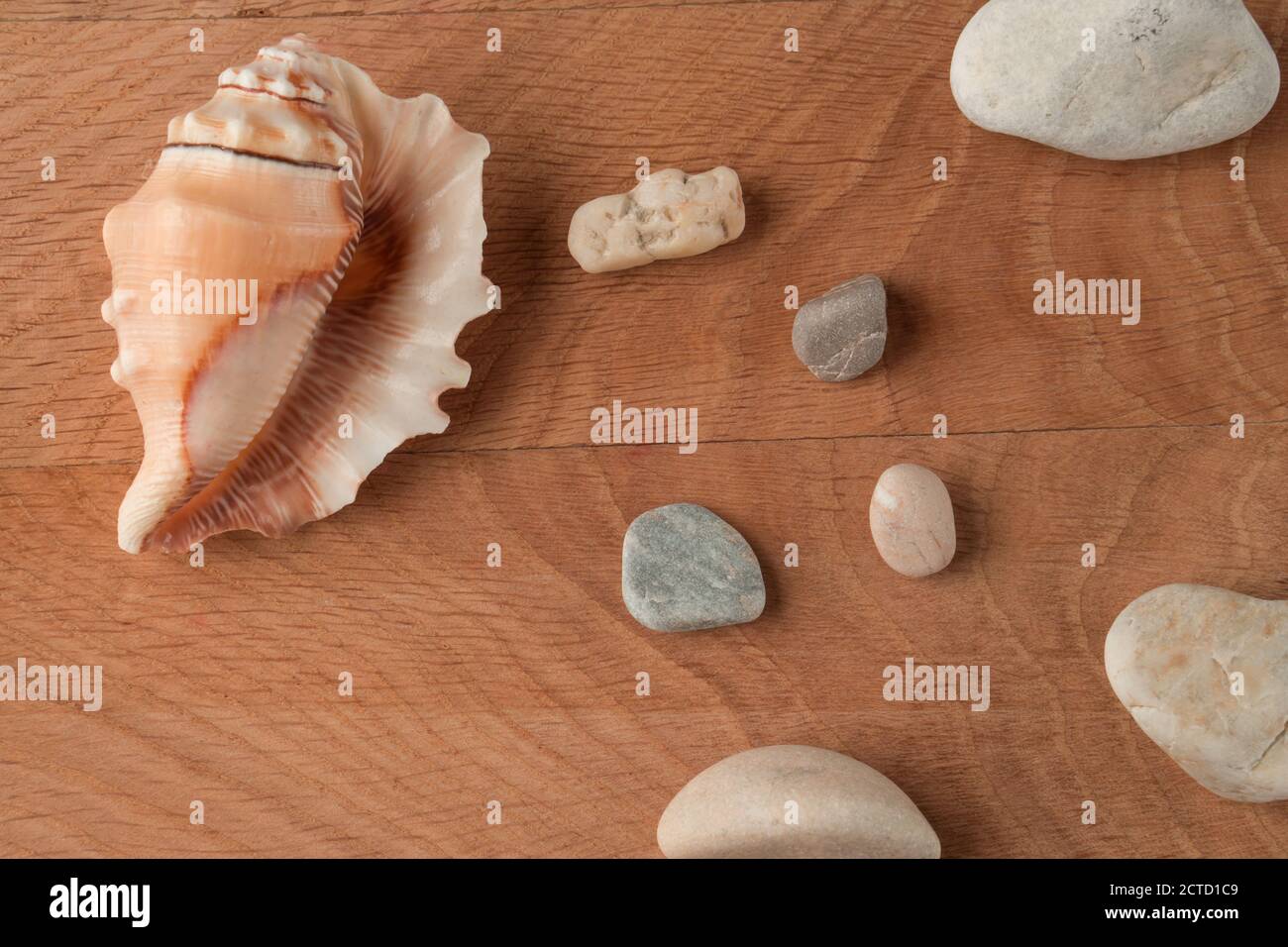 Smooth stones of various sizes and a shell on the background of a ...