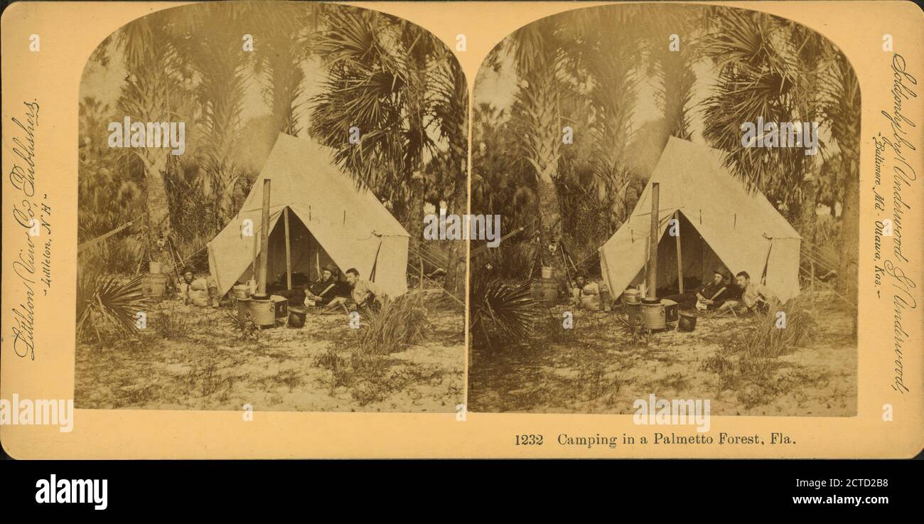 Camping in Palmetto Forest, Florida., still image, Stereographs, 1890 ...