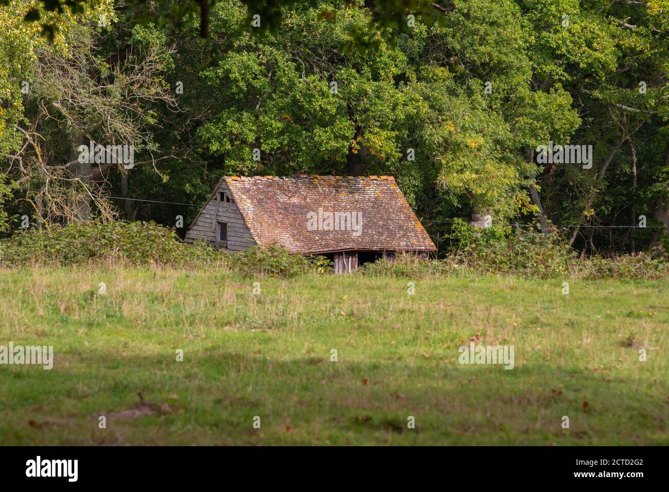 Knepp castle estate, sussex hi-res stock photography and images - Alamy