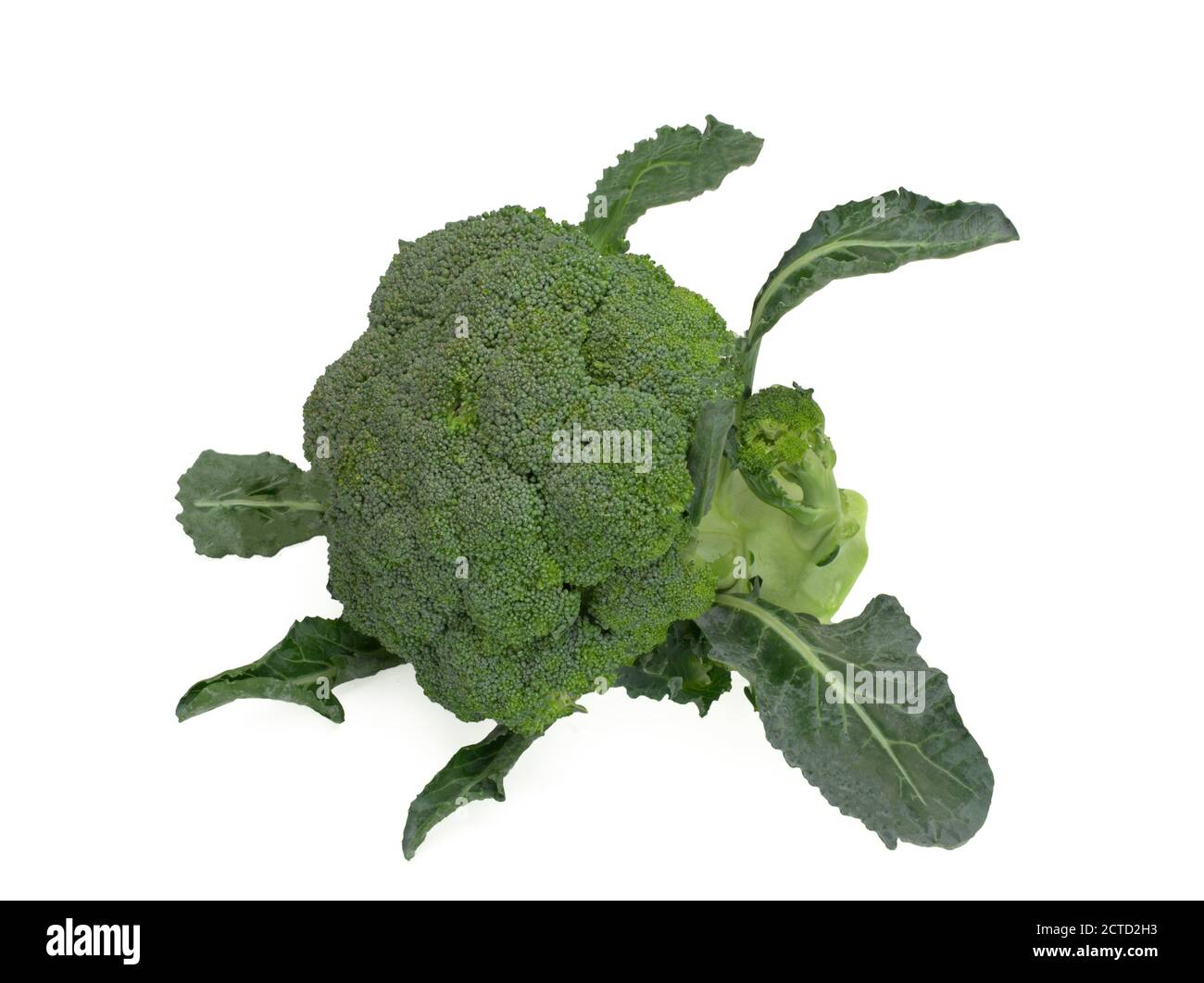 Fresh broccoli isolated on white background Stock Photo - Alamy