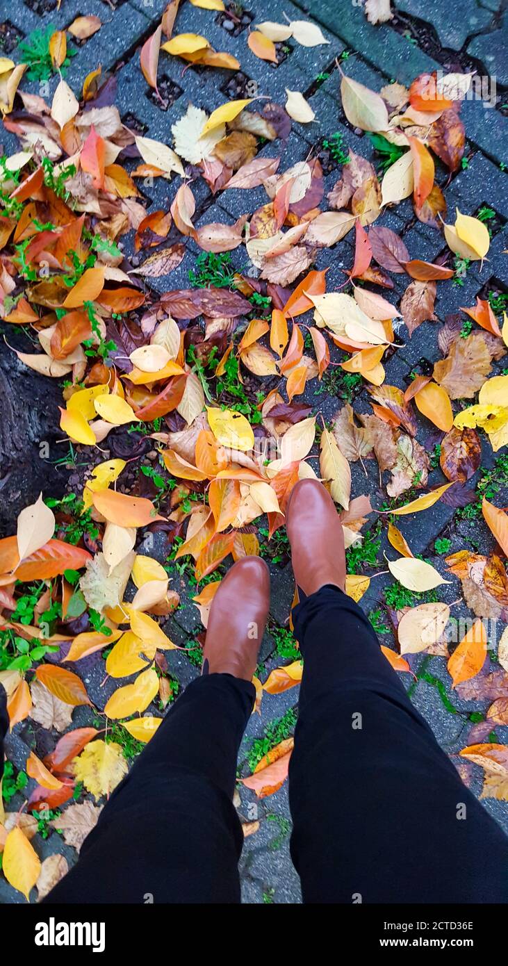 Womens legs hi-res stock photography and images - Alamy