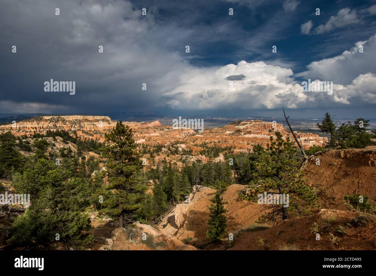 Landscape of Bryce Canyon National Park Stock Photo - Alamy