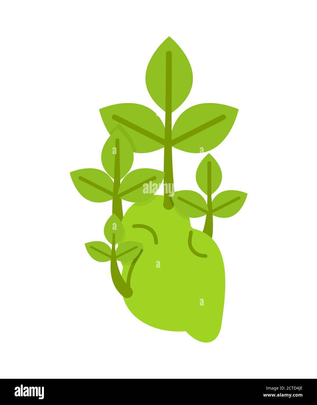 Human heart anatomy from healthy hi-res stock photography and images ...