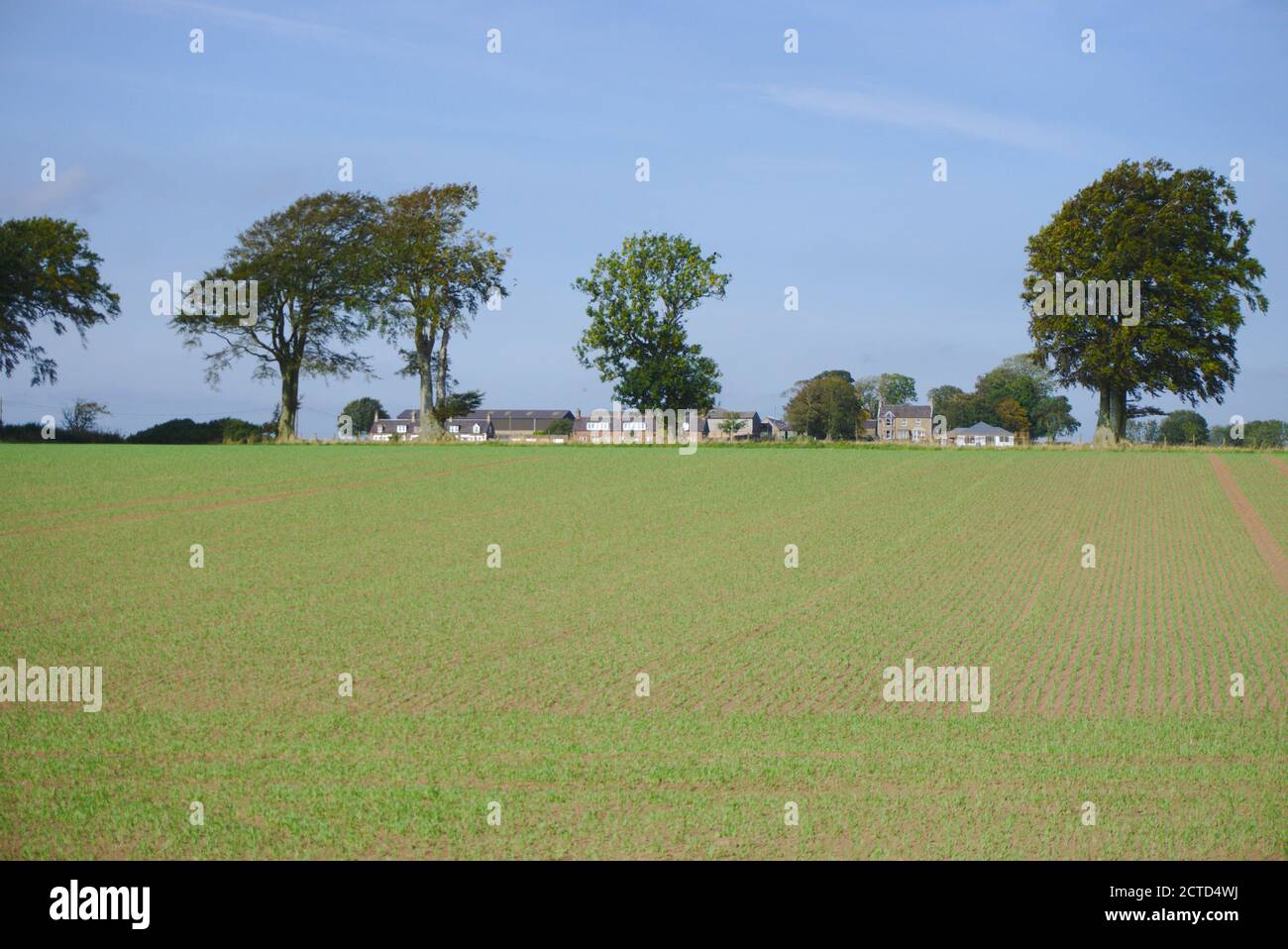 Borders farming hi-res stock photography and images - Alamy