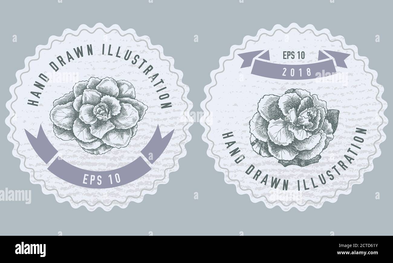Monochrome labels design with illustration of brassica Stock Vector ...