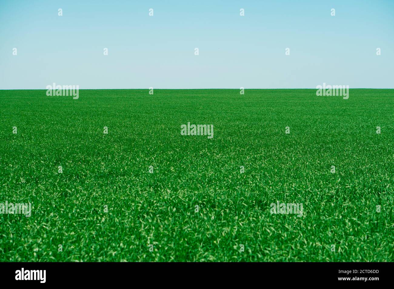 Landscape, green field hiding behind the horizon Stock Photo - Alamy