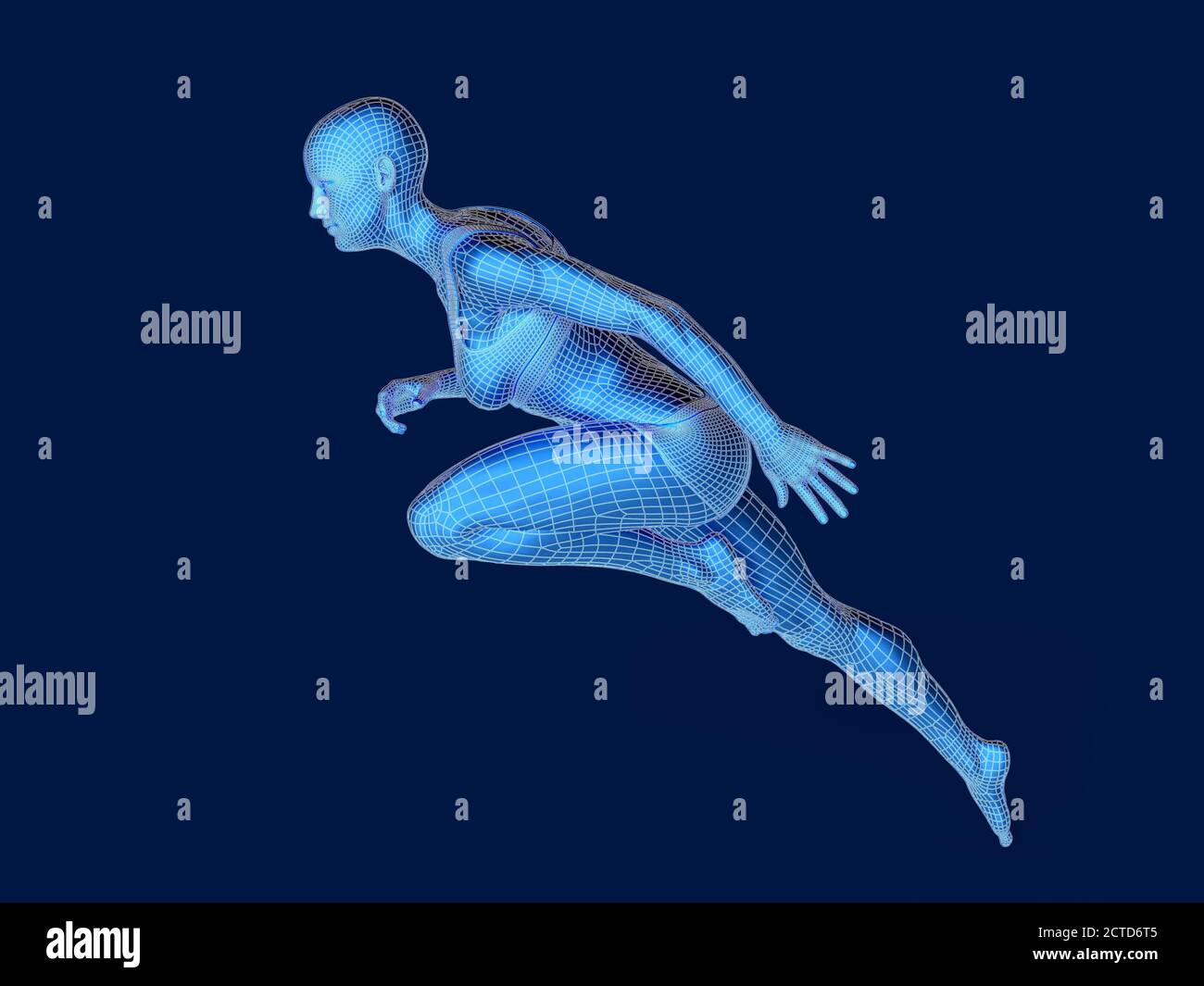 3d Wireframe Human Female High Resolution Stock Photography and Images ...