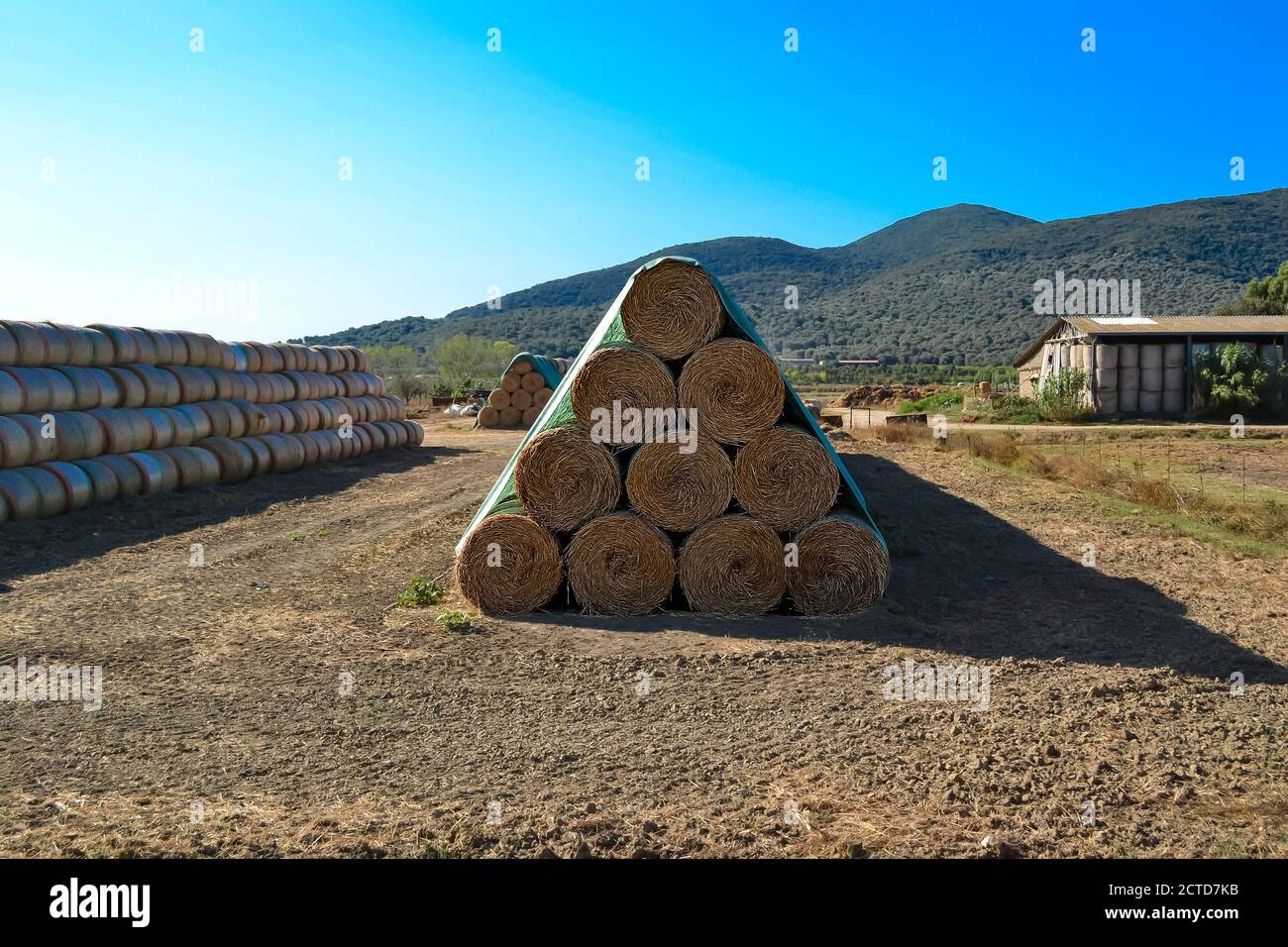 Forage for animals hi-res stock photography and images - Alamy