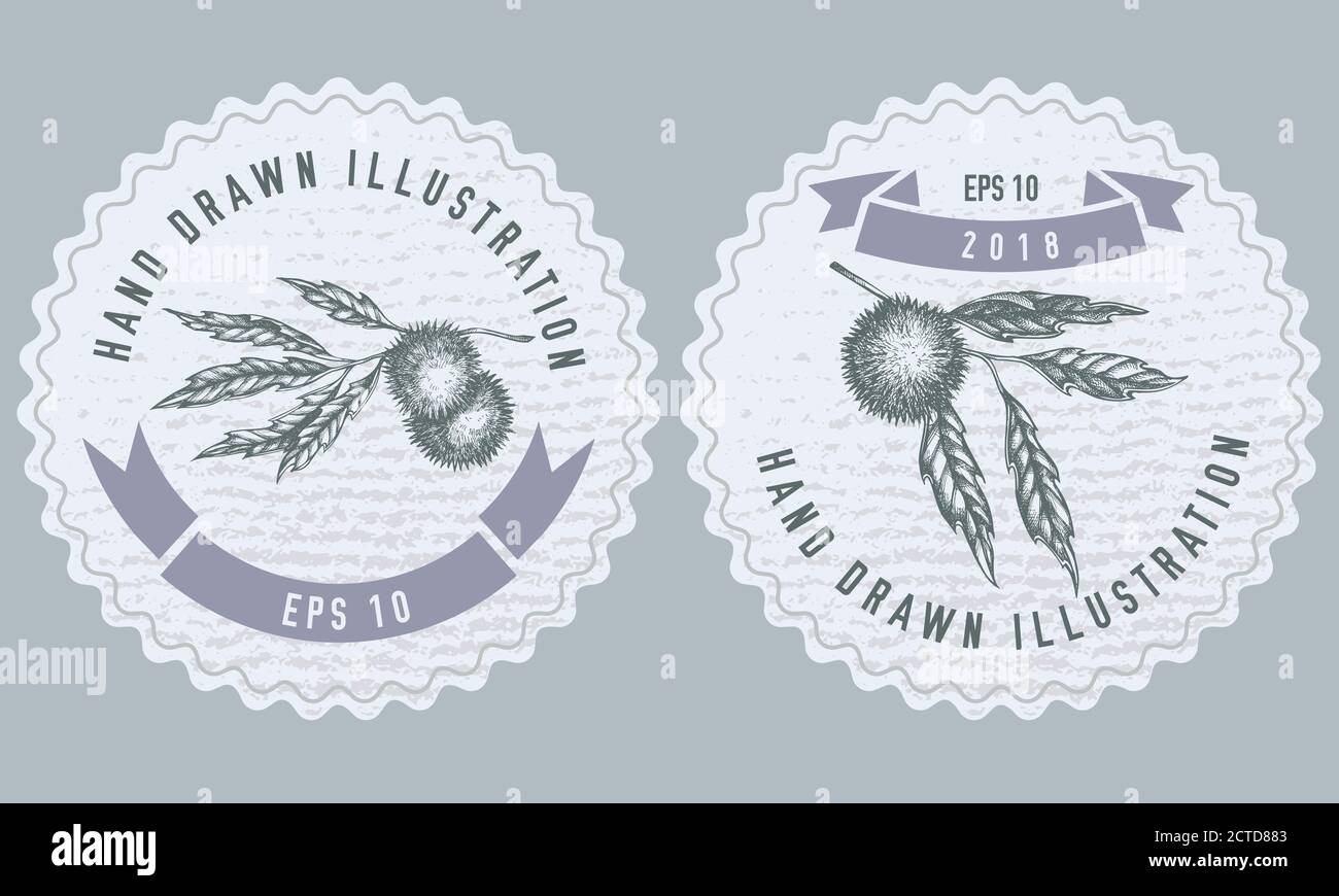Monochrome labels design with illustration of chestnut Stock Vector ...