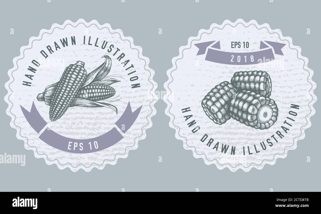 Monochrome labels design with illustration of corn Stock Vector Image ...