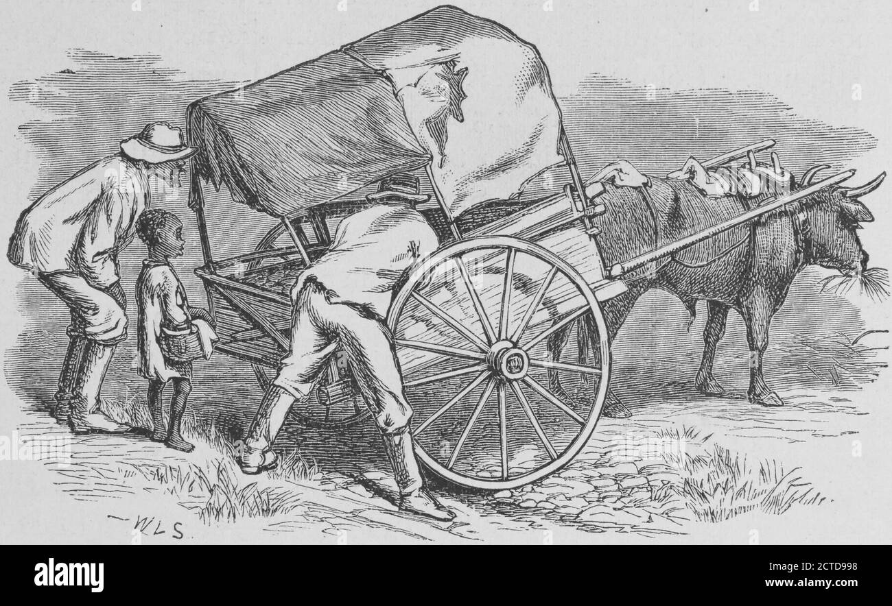 A water-melon wagon, still image, Illustrations, 1874, King, Edward ...