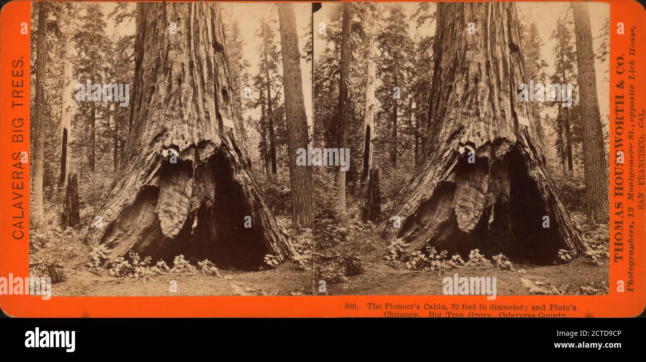 The Pioneer's Cabin, 32 feet in diameter ; and Pluto's Chimney, Big ...