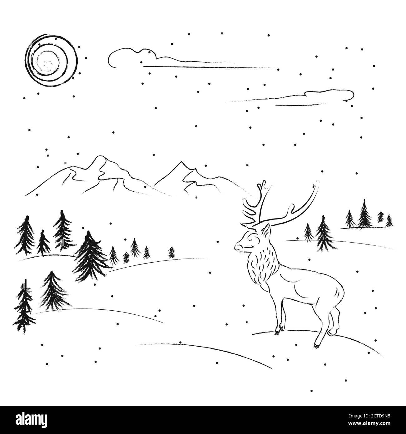 Winter Forest Drawing