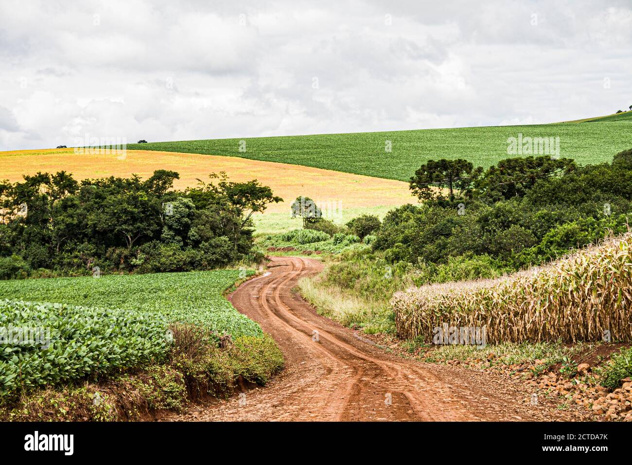 Brazilian road hi-res stock photography and images - Alamy