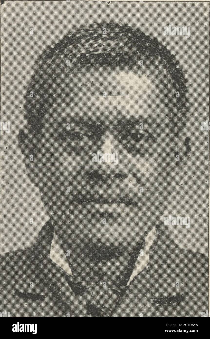 Pure polynesian race hi-res stock photography and images - Alamy