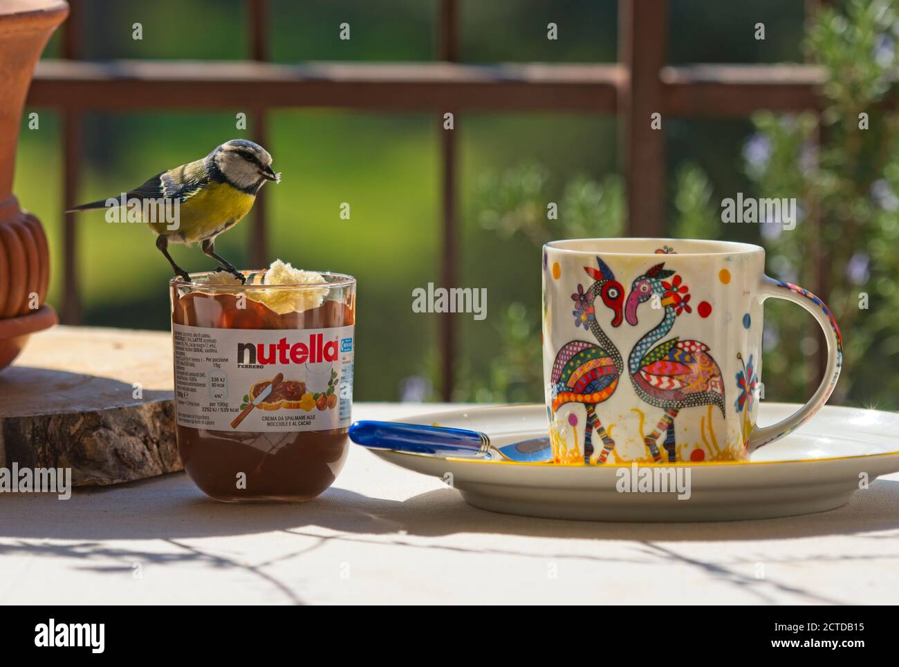 Outdoor breakfast in the sun with Nutella, coffee and a blue tit bird ...