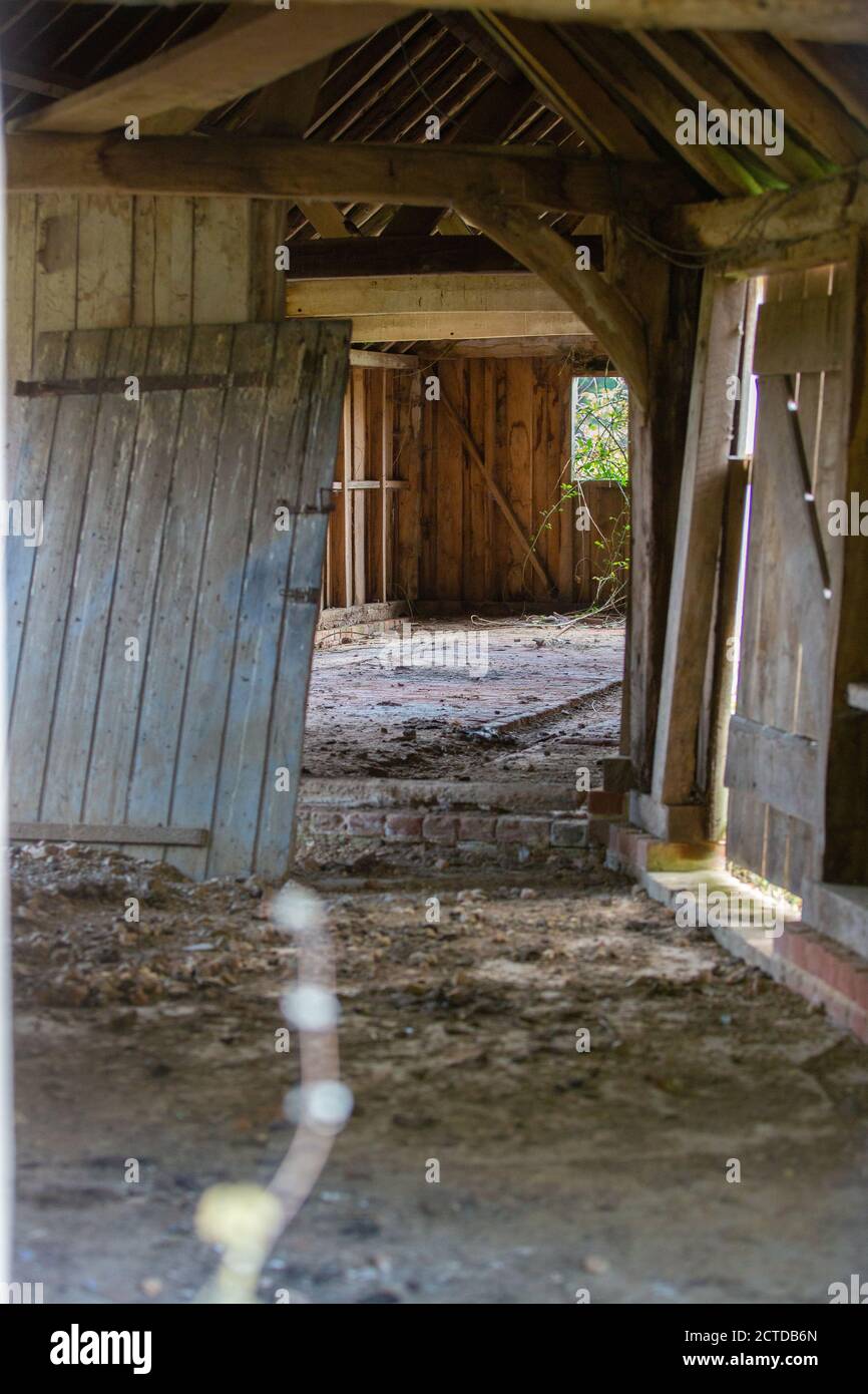 Knepp castle estate hi-res stock photography and images - Alamy