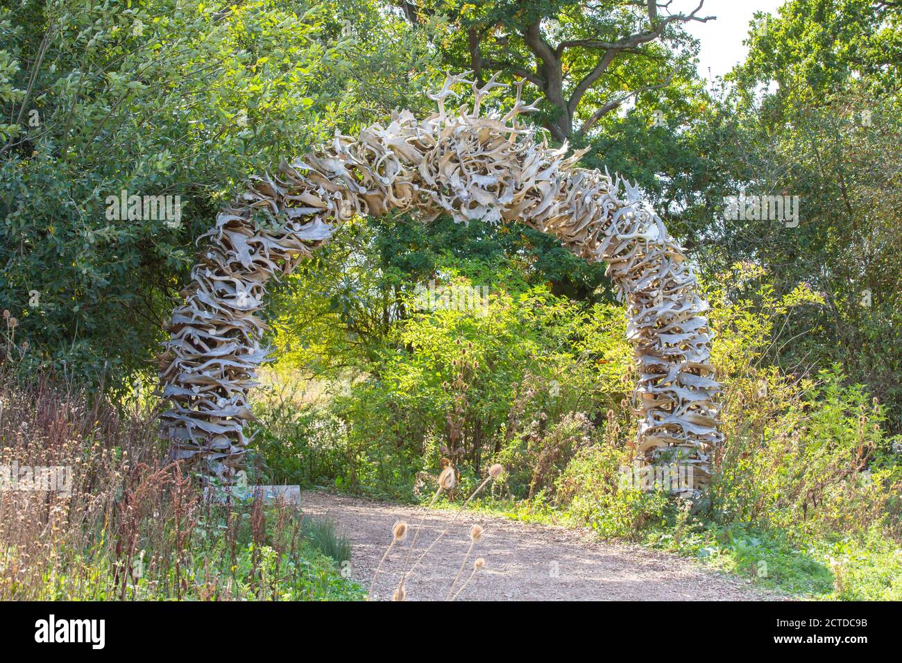 Knepp Estate Rewilding project - archway of antlers Stock Photo - Alamy