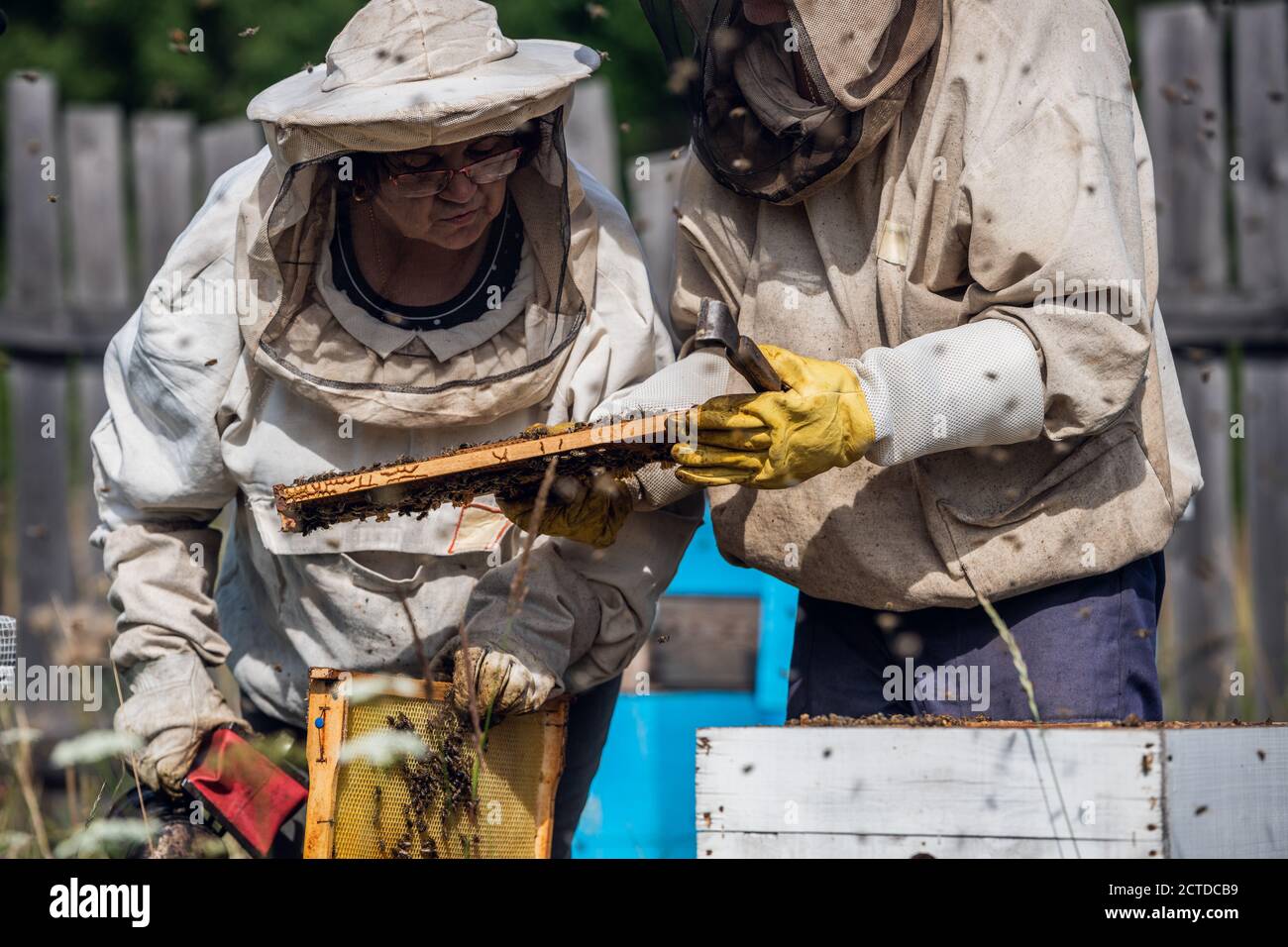 Beekeepers working collect honey beekeeper hi-res stock photography and ...
