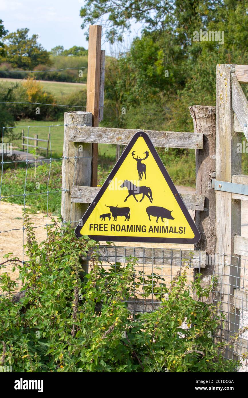 Knepp rewilding project hi-res stock photography and images - Alamy