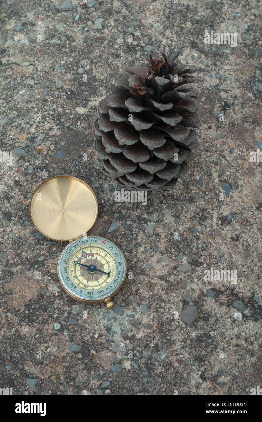 a fir cone and a gold compass with an open lid Stock Photo - Alamy