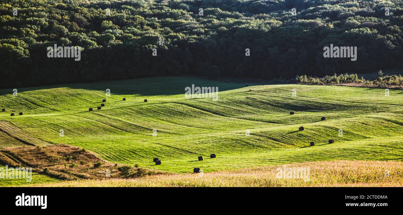 rolling green fields nature background Stock Photo - Alamy