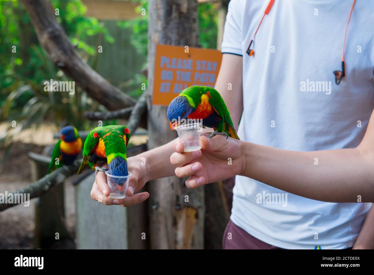 Hand helding hi-res stock photography and images - Alamy