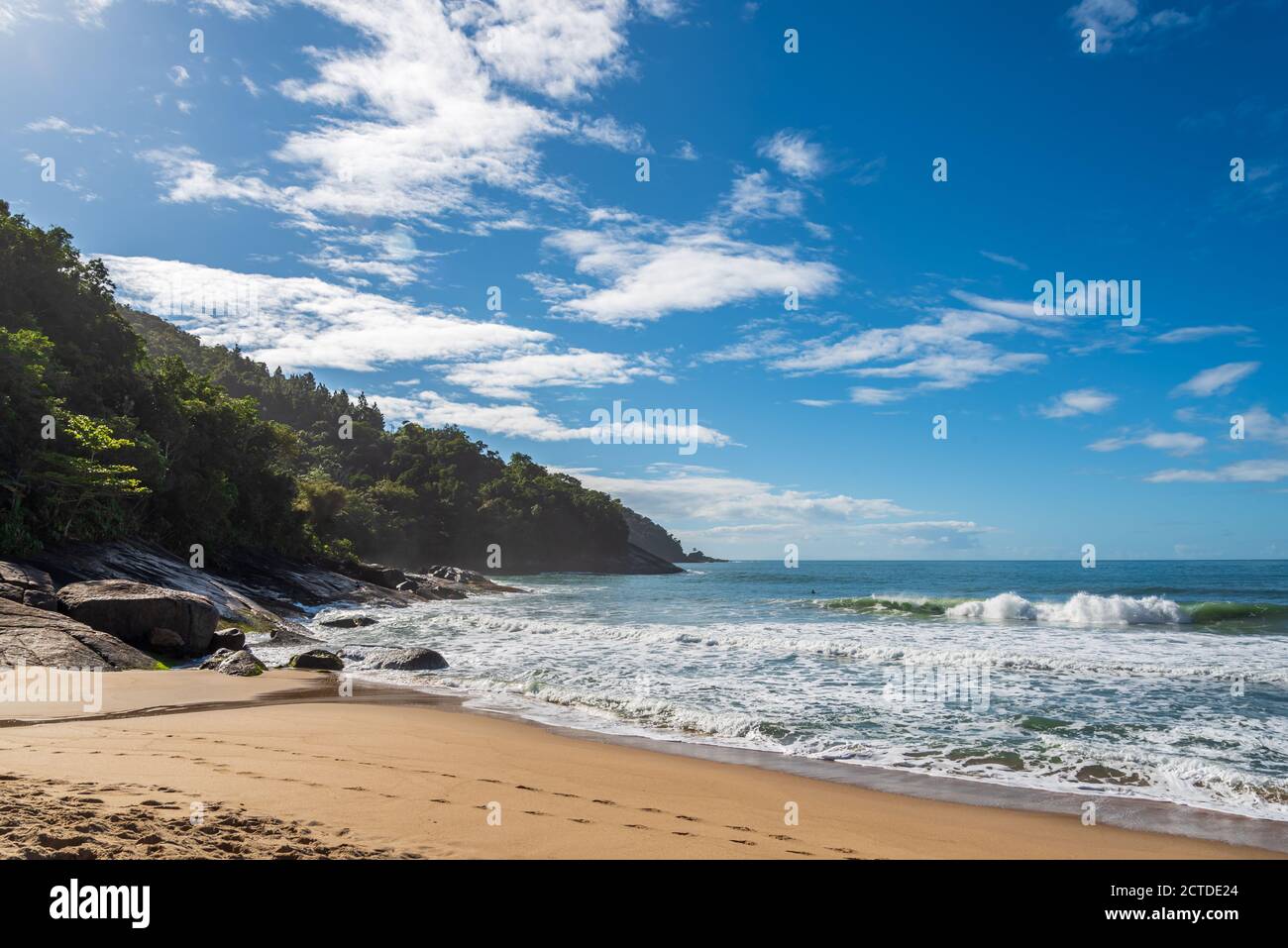 Forest next to beach hi-res stock photography and images - Alamy