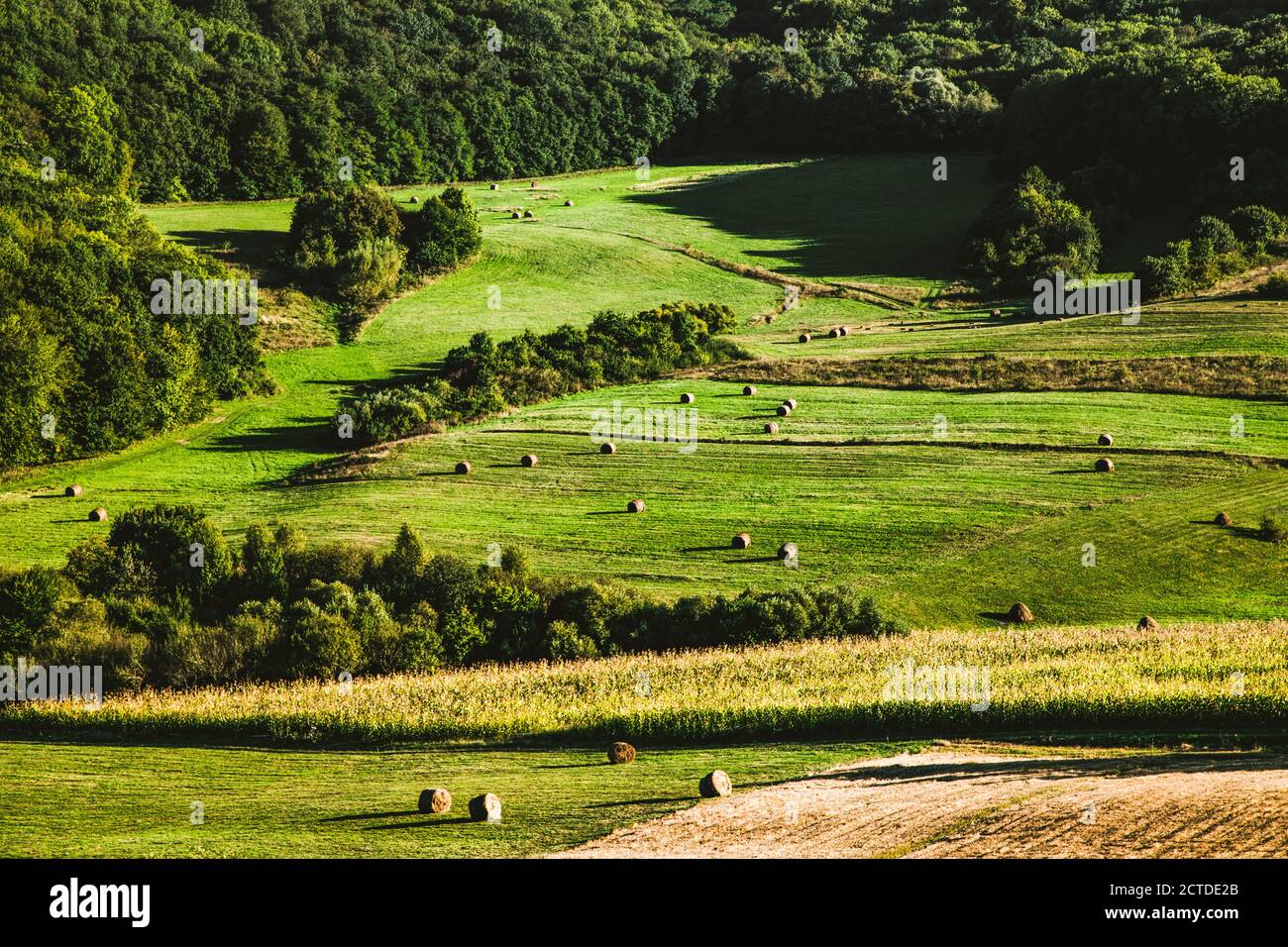 rolling green fields nature background Stock Photo - Alamy