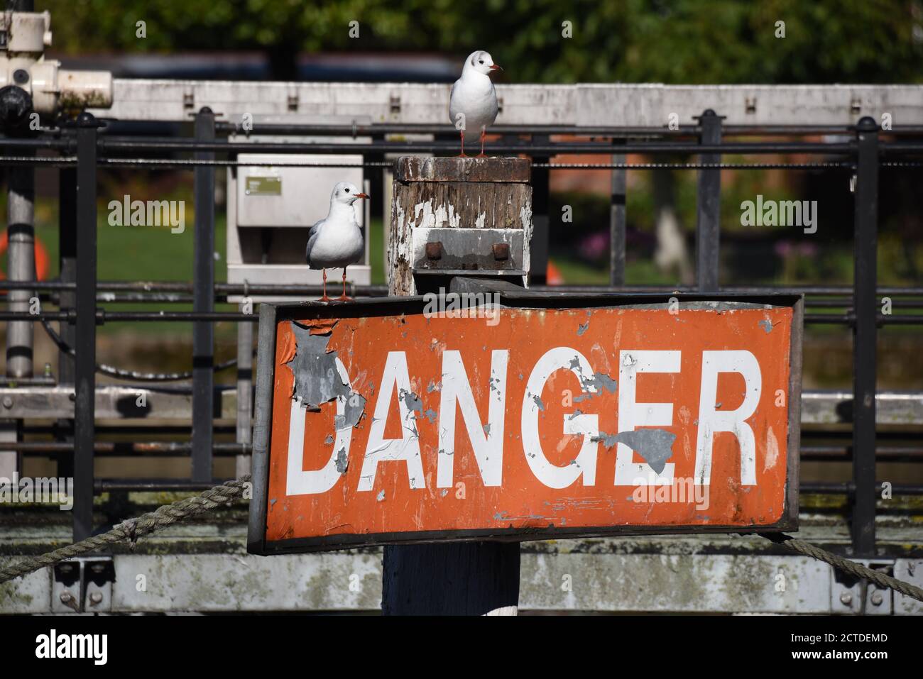 Reading Berkshire Sign High Resolution Stock Photography and Images - Alamy