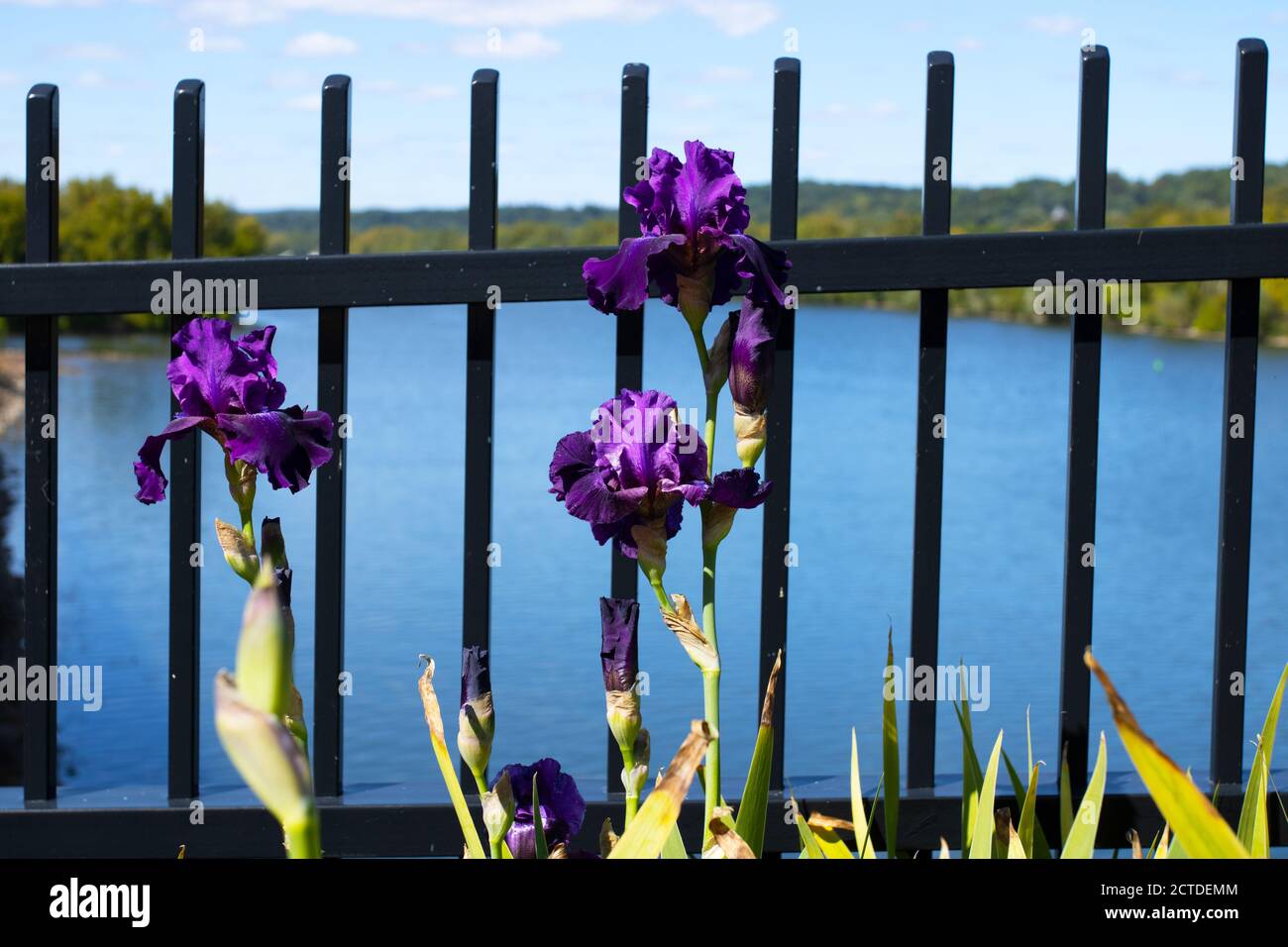 Erie canal mohawk river hi-res stock photography and images - Alamy