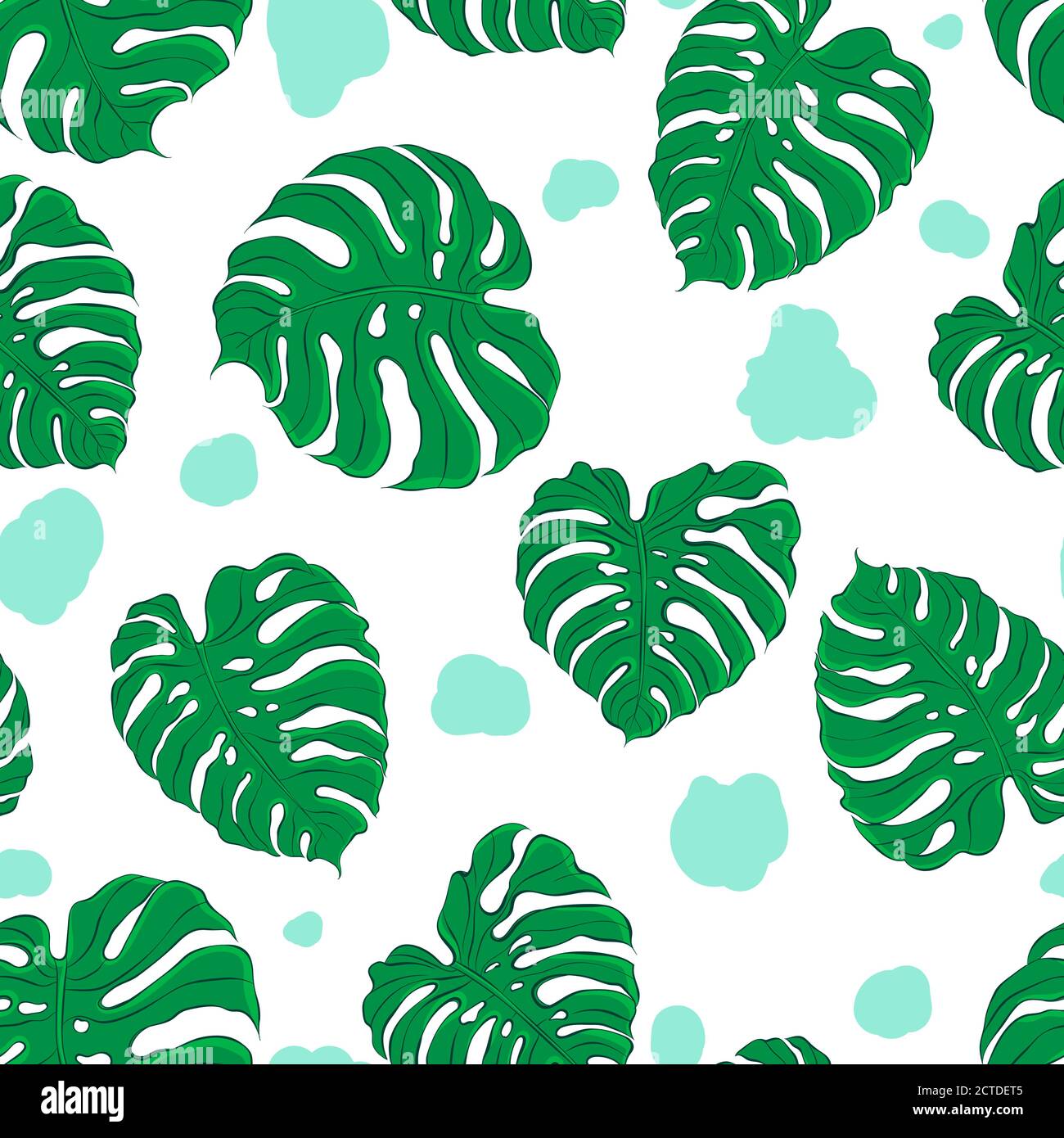 Tropical leaf on white Stock Vector Images - Alamy