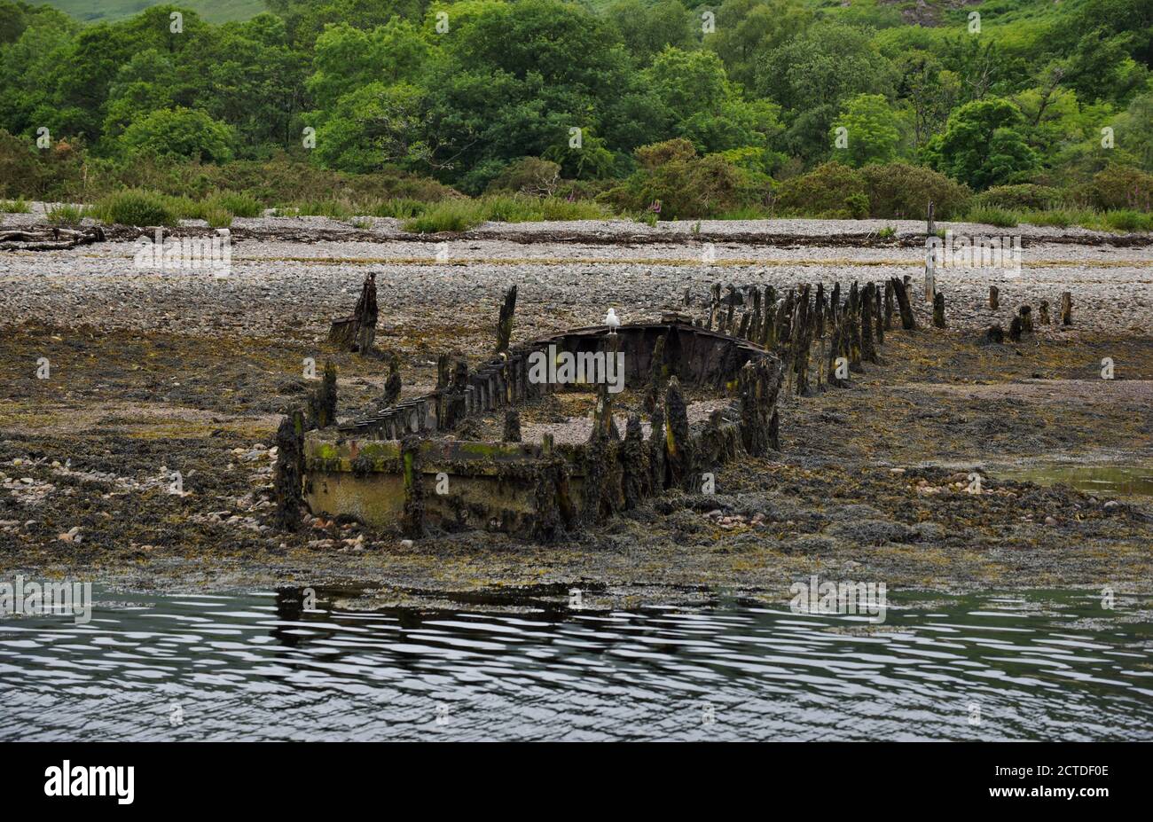 An abandoned boat disintegrating slowly on the shores of Loch Linnhe in ...