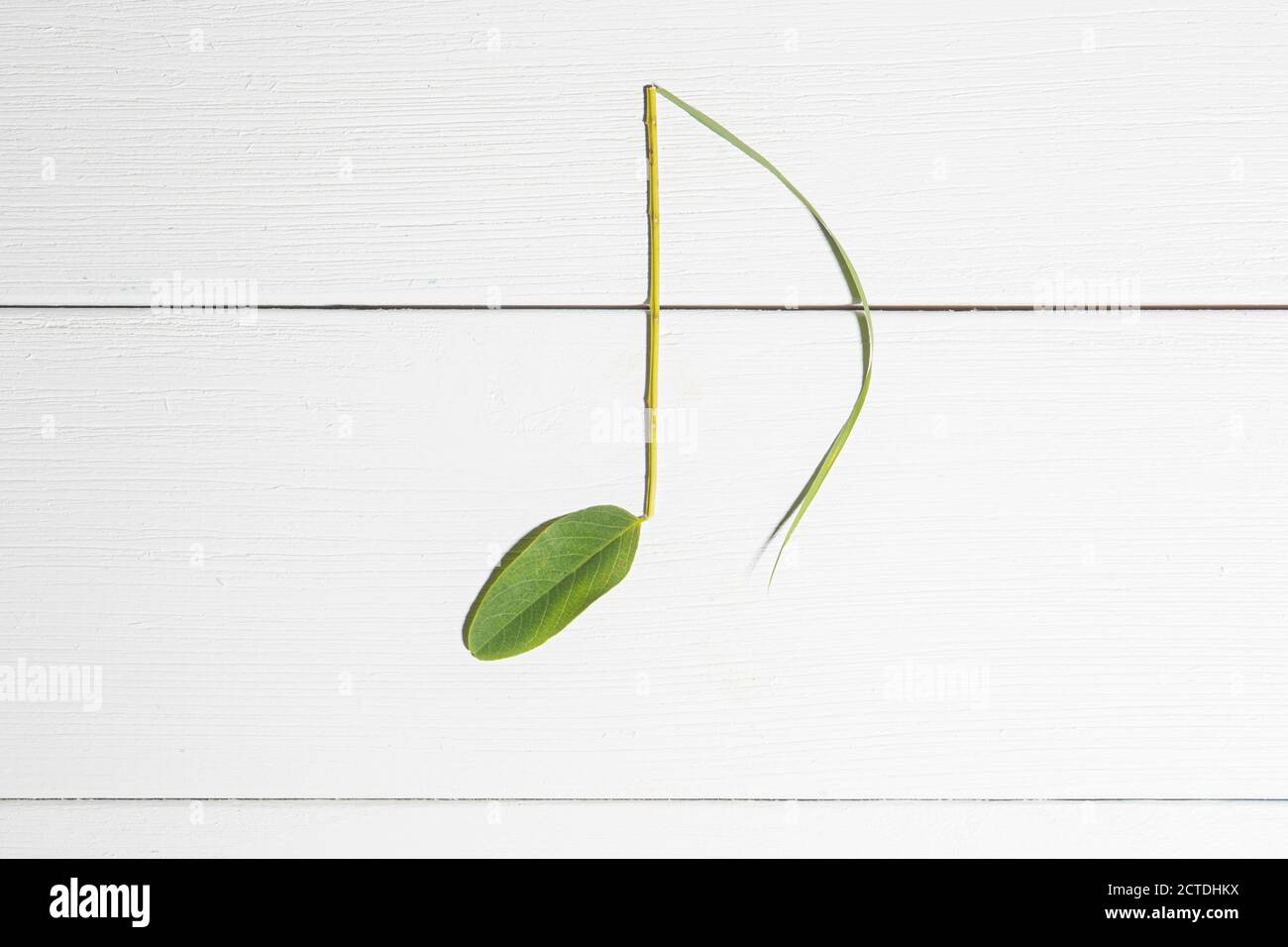 musical notes made with leaves placed on a white wooden surface Stock ...