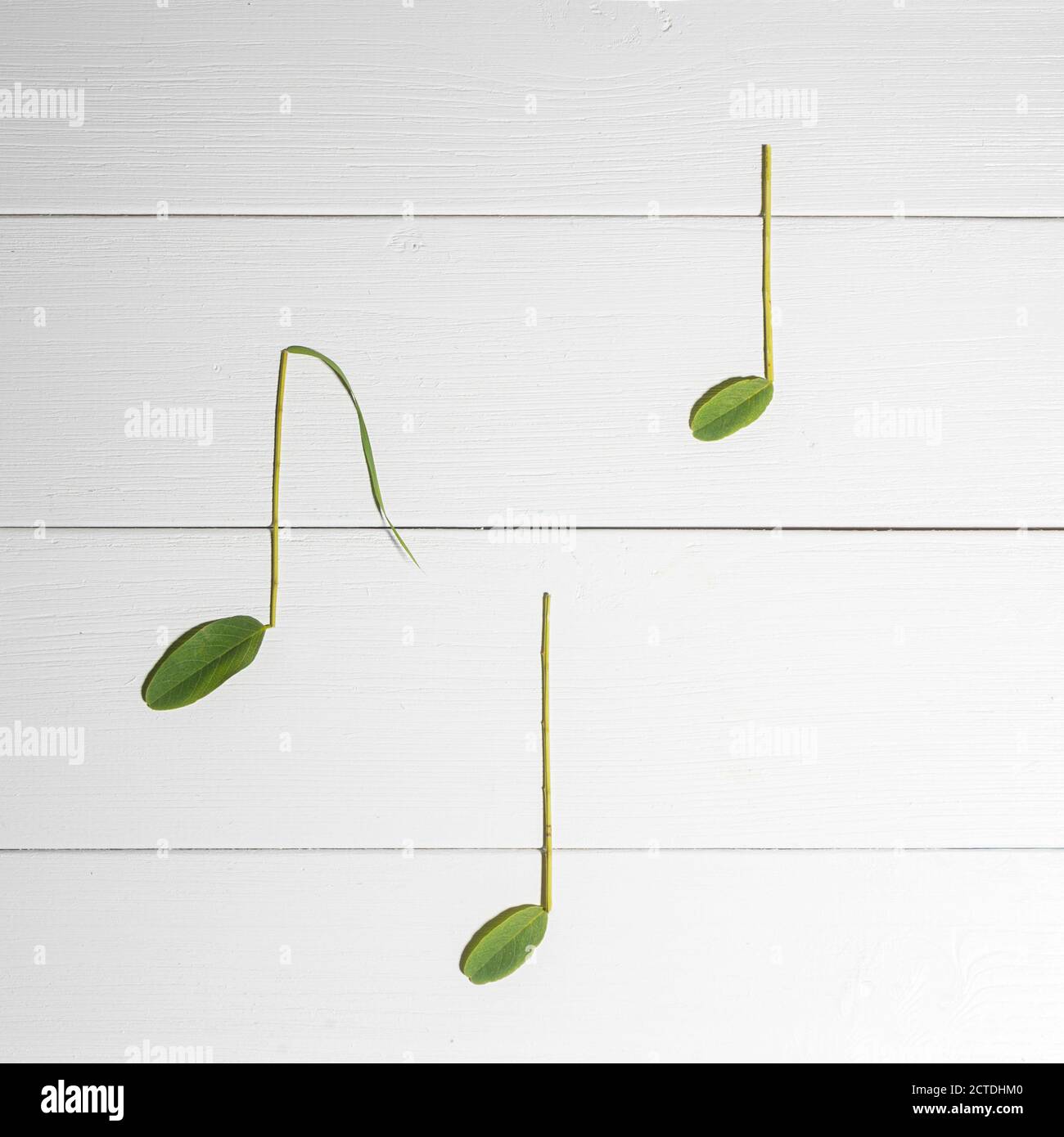musical notes made with leaves placed on a white wooden surface Stock ...