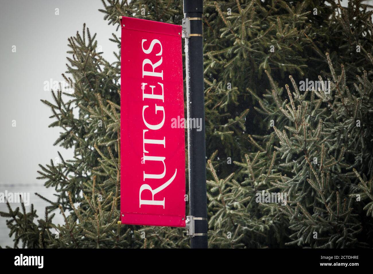 Rutgers University logo flag with backdrop of evergreen pine trees in ...