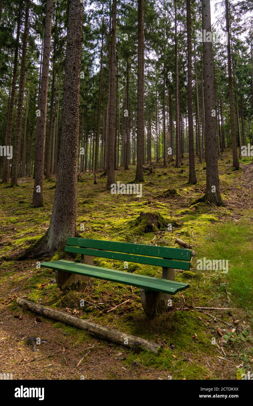 Forest area arnsberger wald hi-res stock photography and images - Alamy