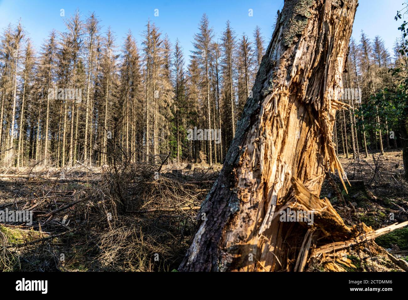 Gerodeter hi-res stock photography and images - Alamy