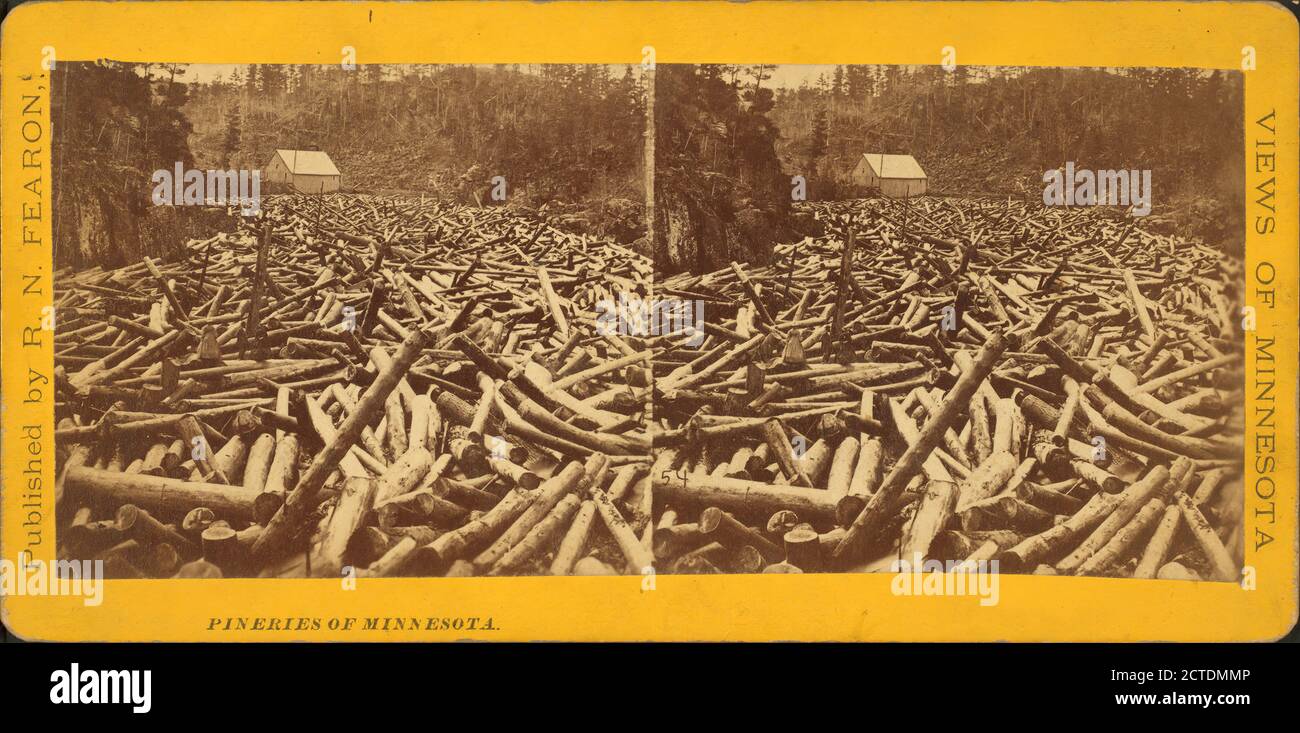 Pineries of Minnesota., still image, Stereographs, 1850 - 1930 Stock ...