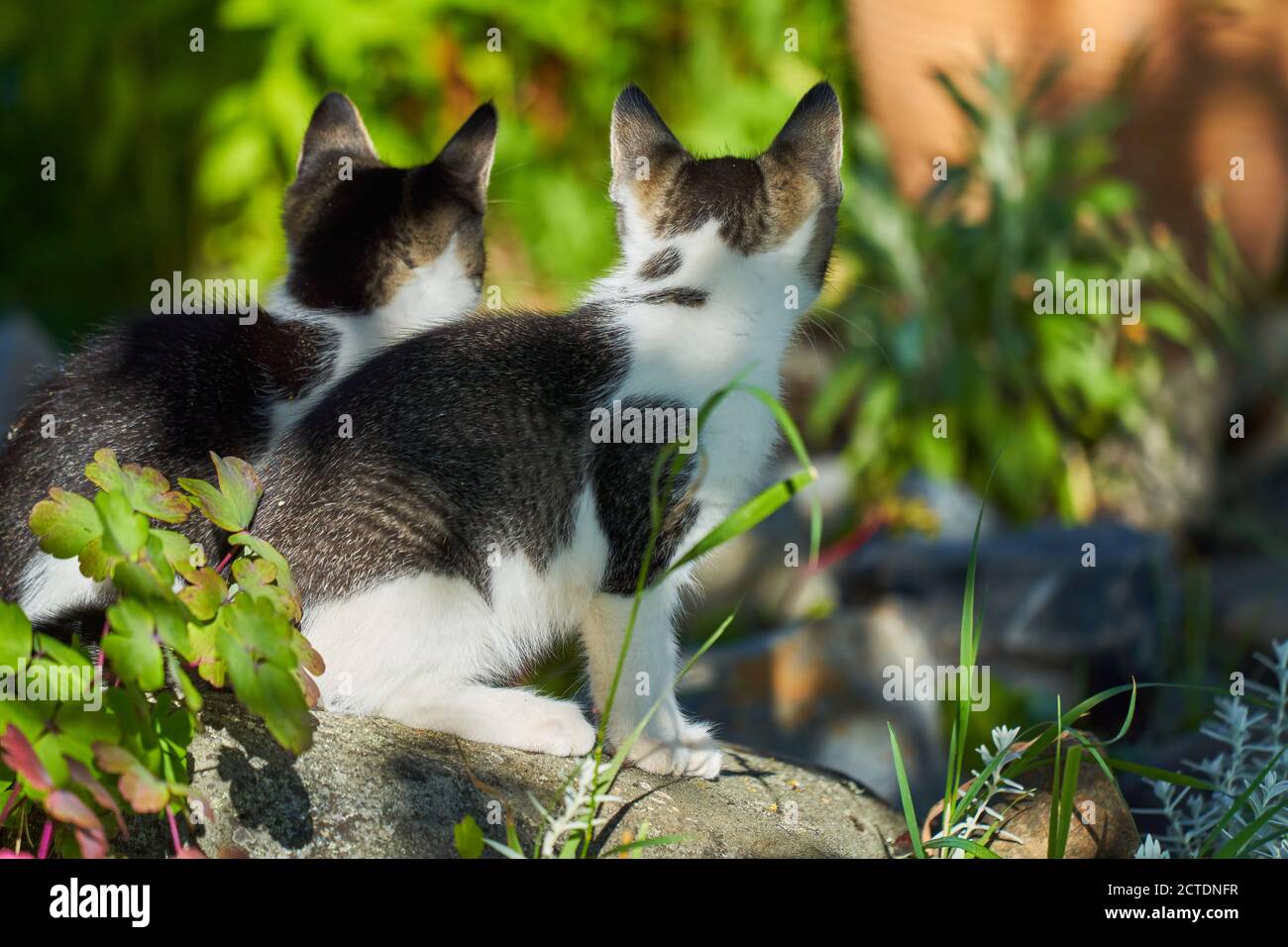 Look distance hi-res stock photography and images - Alamy