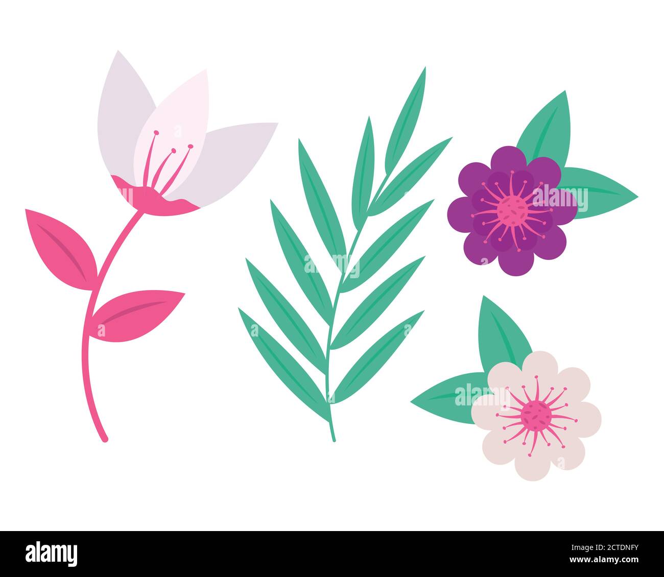 flowers with leaves vector design Stock Vector Image & Art - Alamy