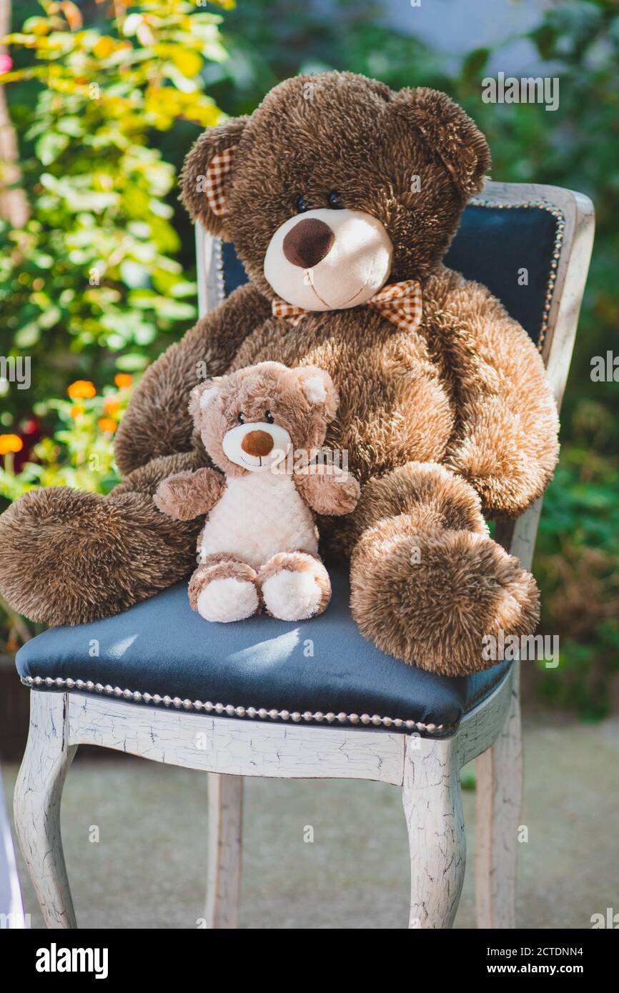 Two brown teddy bears sit on a chair. Stuffed animals Stock Photo - Alamy