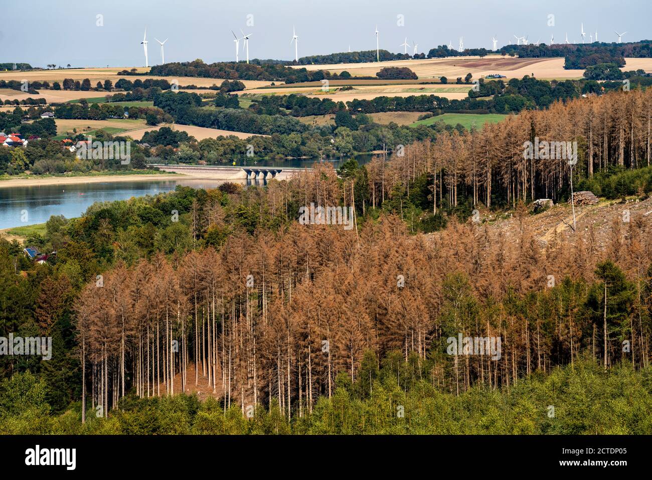 Gerodeter hi-res stock photography and images - Alamy