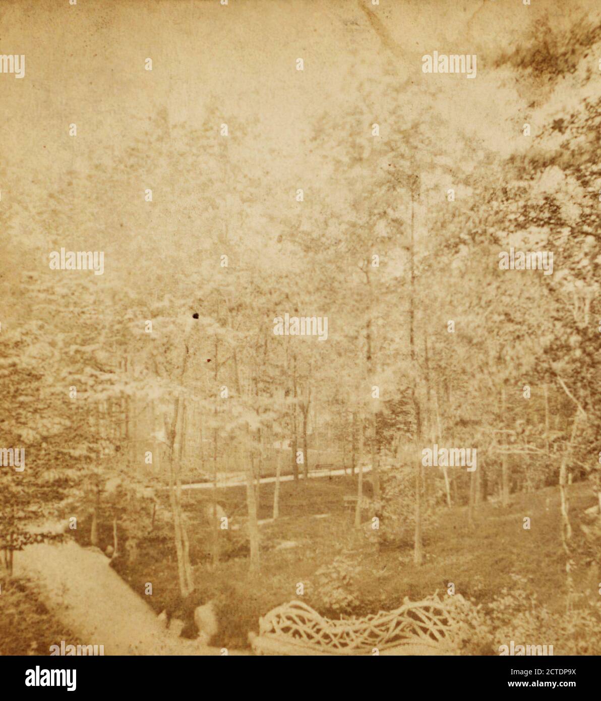 The Ramble, Central Park., New York (State), New York (N.Y.), New York ...