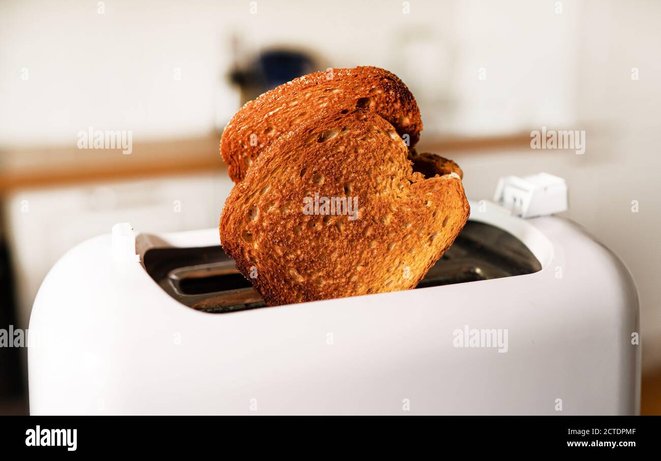 Two roasted toast bread popping up of toaster Stock Photo - Alamy