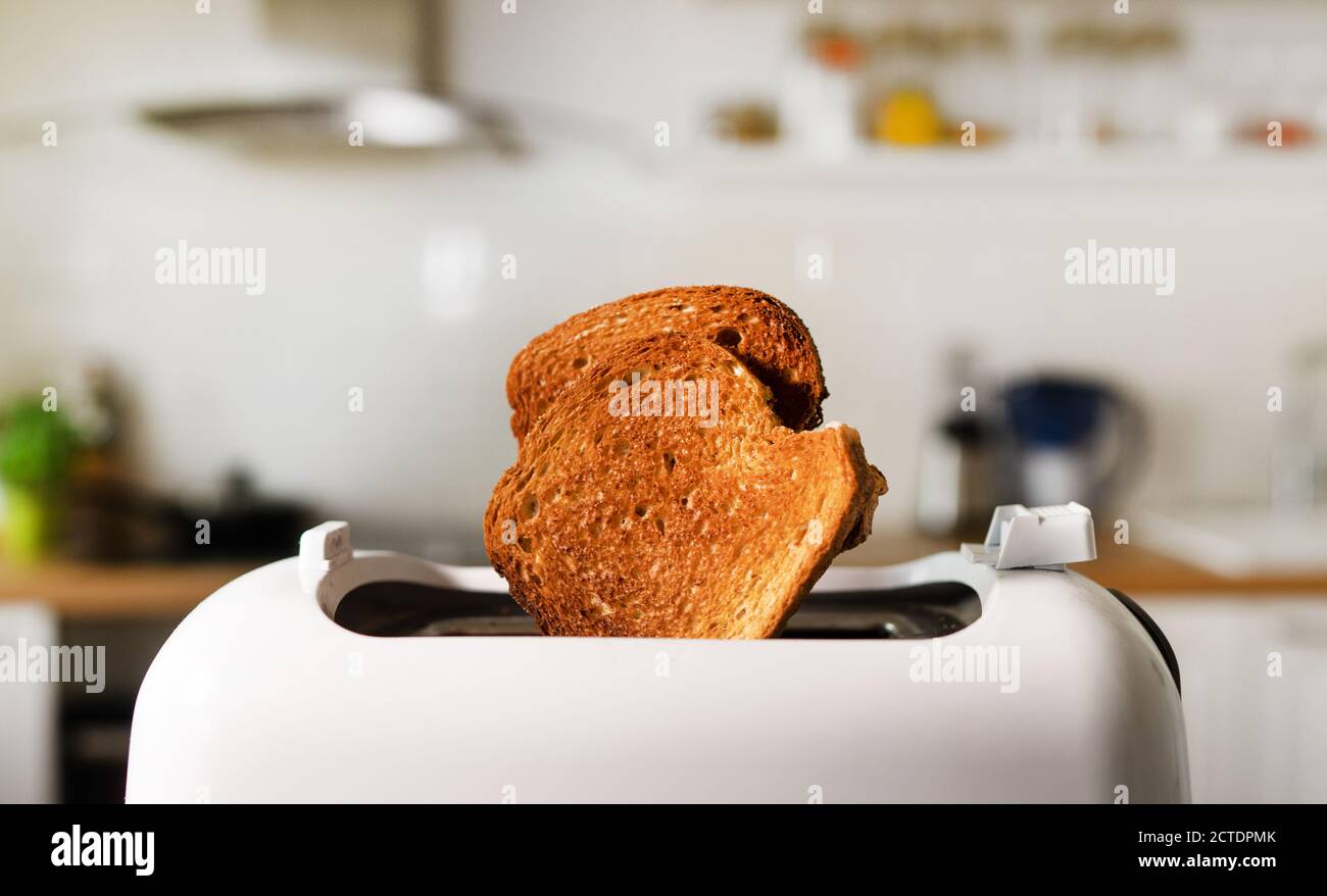 Two roasted toast bread popping up of toaster Stock Photo - Alamy