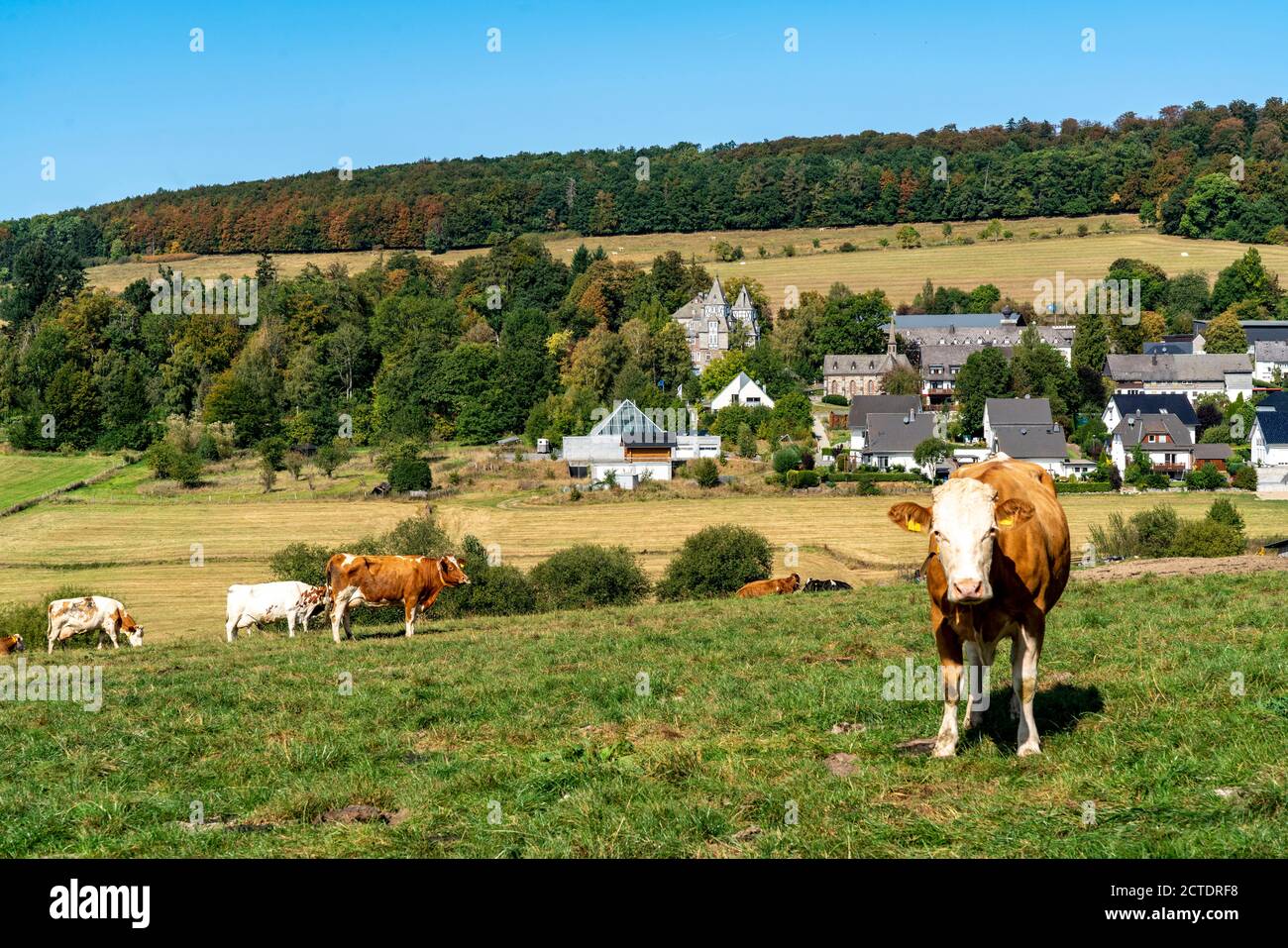 Commercial dairy farming hi-res stock photography and images - Alamy