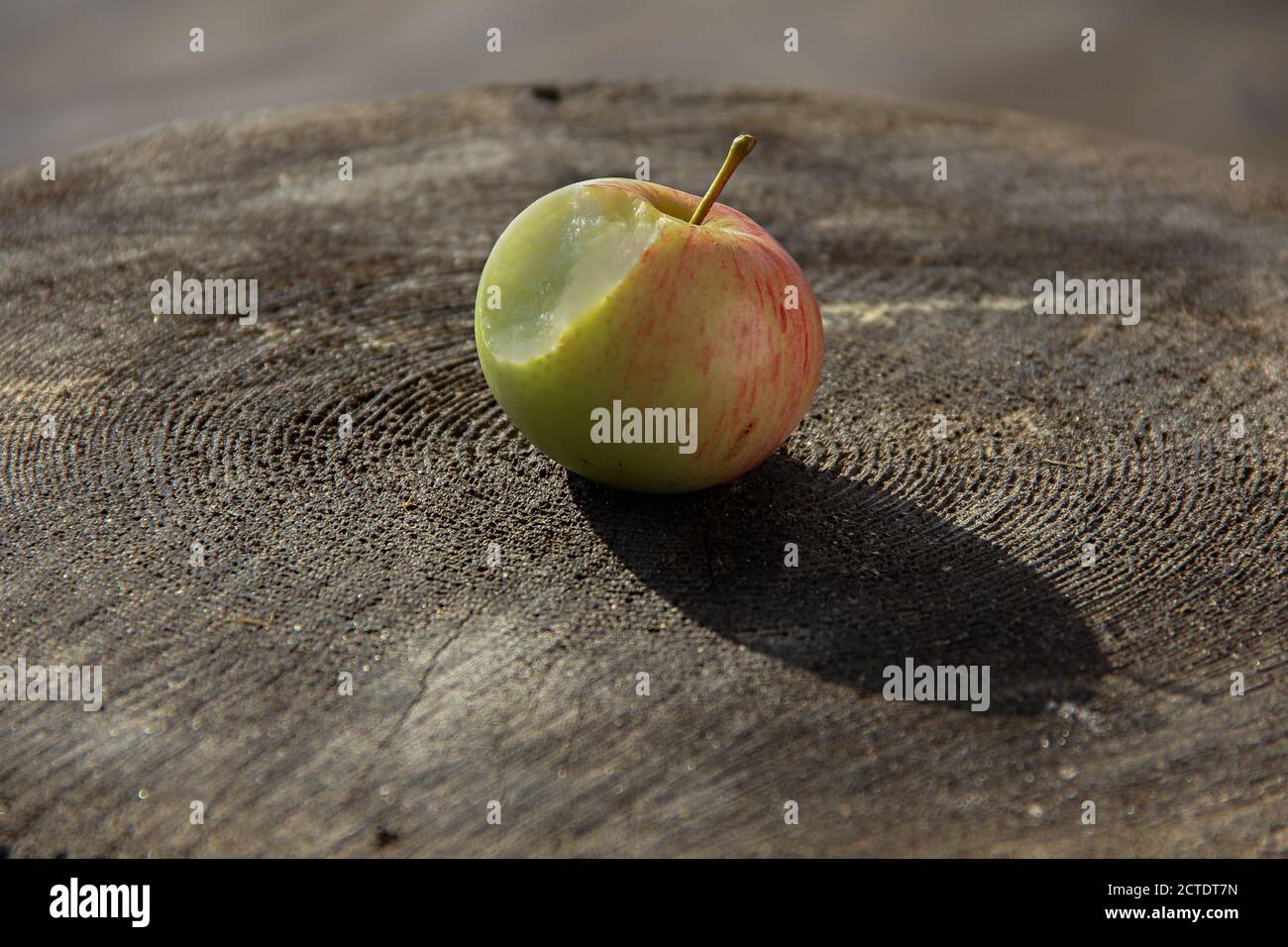 A bitten fresh red apple laying on a stump in a garden Stock Photo - Alamy